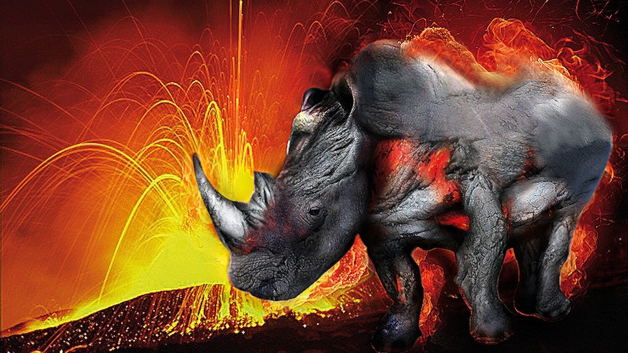 Fosilă extrem de rară a unui rinocer preistoric, descoperită în Turcia