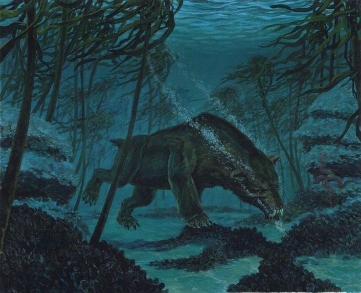 Kolponomos, una dintre cele mai bizare creaturi care a trăit pe Terra