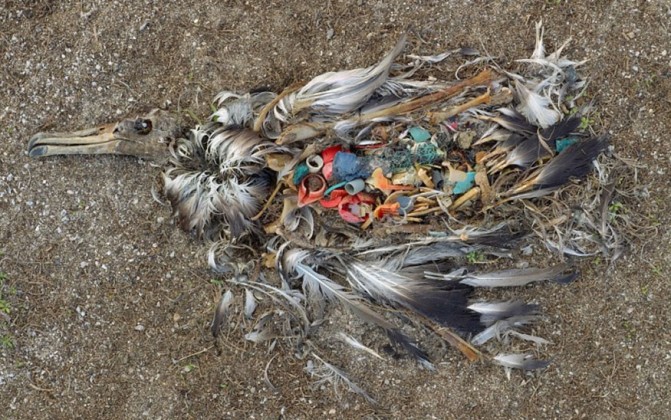 13 imagini ale dezastrului provocat de poluarea umană