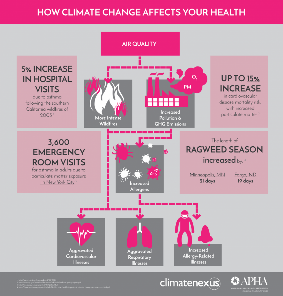 Infografic: schimbările climatice și impactul asupra sănătății