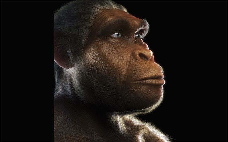 Înainte și după Homo habilis. Sau cum se rescrie istoria omenirii