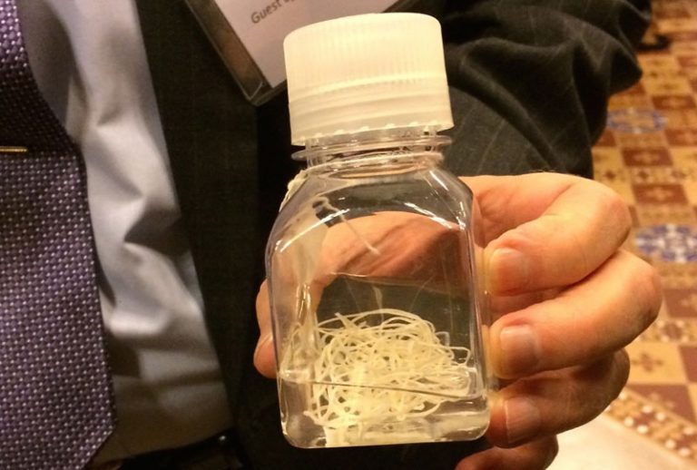 Parazitul care ne controlează mințile