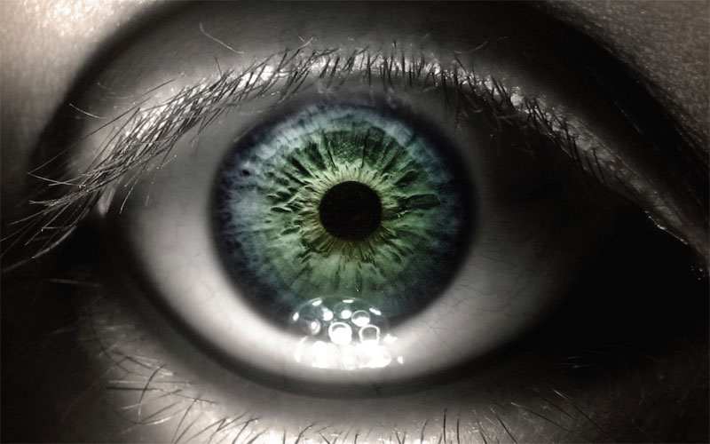 Genetica privește cu coada ochiului. La evoluția ochiului