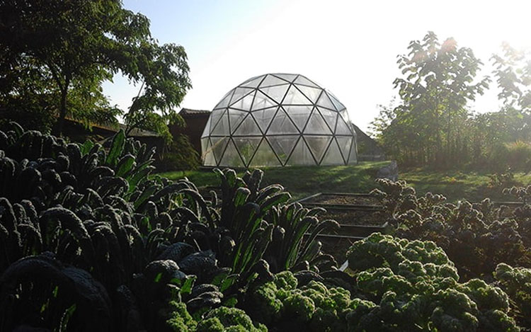 Biodomul, eco-casa cu design SF