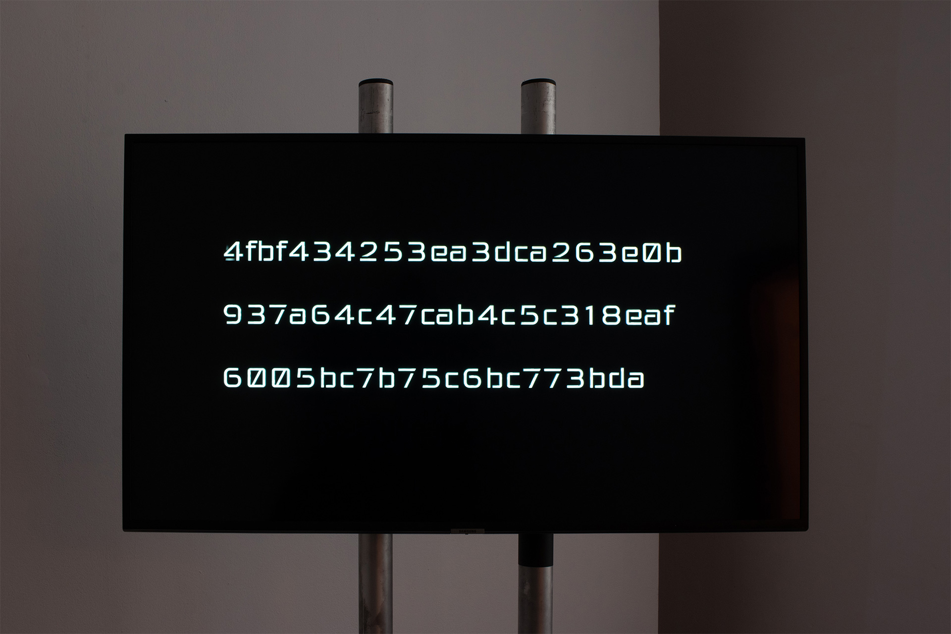 Post Digital Intersections la Timișoara