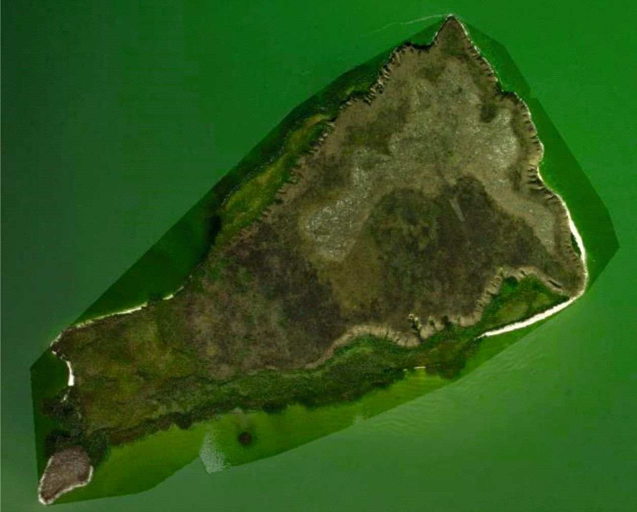 Cartografierea cu drone a habitatelor naturale și monitorizarea ...