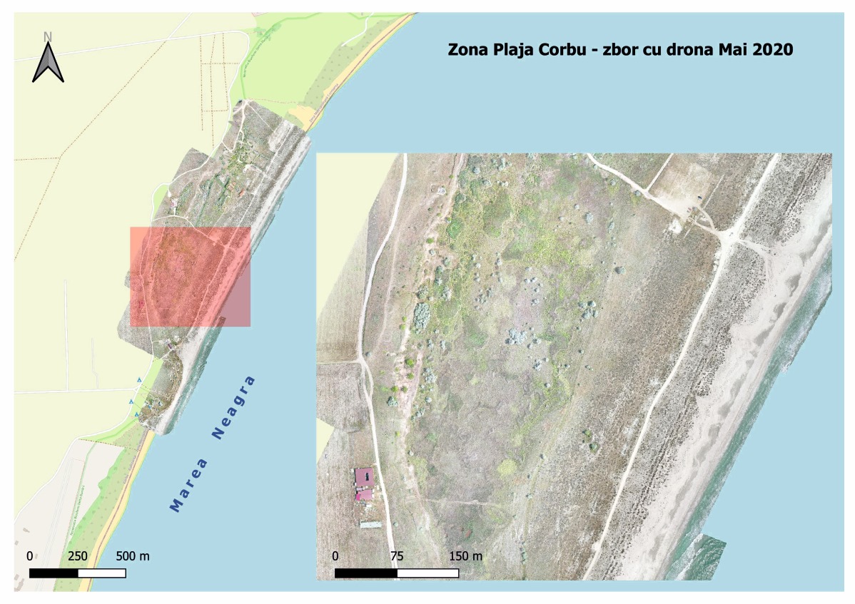Biodiversitatea litoralului românesc, în pericol din cauza turismului