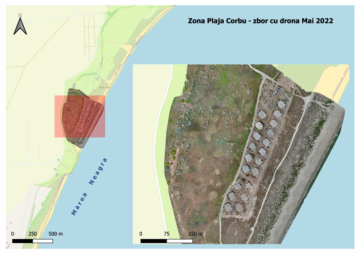 Biodiversitatea litoralului românesc, în pericol din cauza turismului
