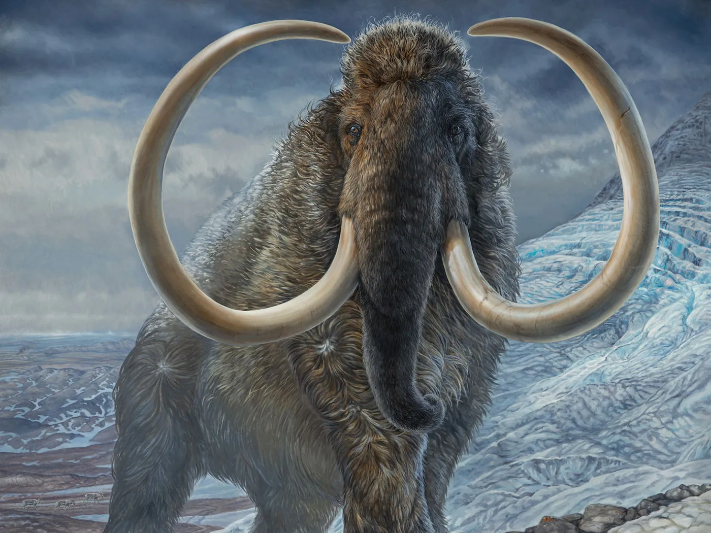 Piele de mamut dezvăluie, pentru prima dată, structura 3D a ADN-ului său