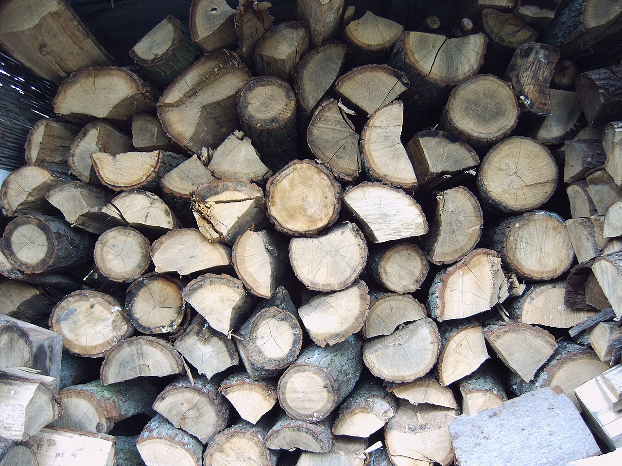 Oamenii de știință au descoperit un tip de lemn complet nou