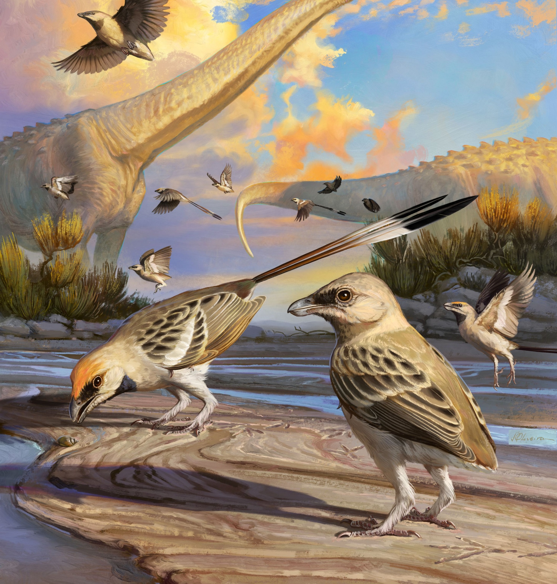 Această fosilă din cretacic ne schimbă viziunea asupra evoluției păsărilor