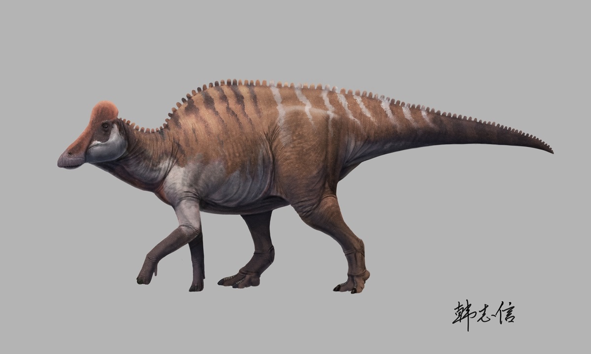 Un nou dinozaur cu cioc de rață descoperit în China