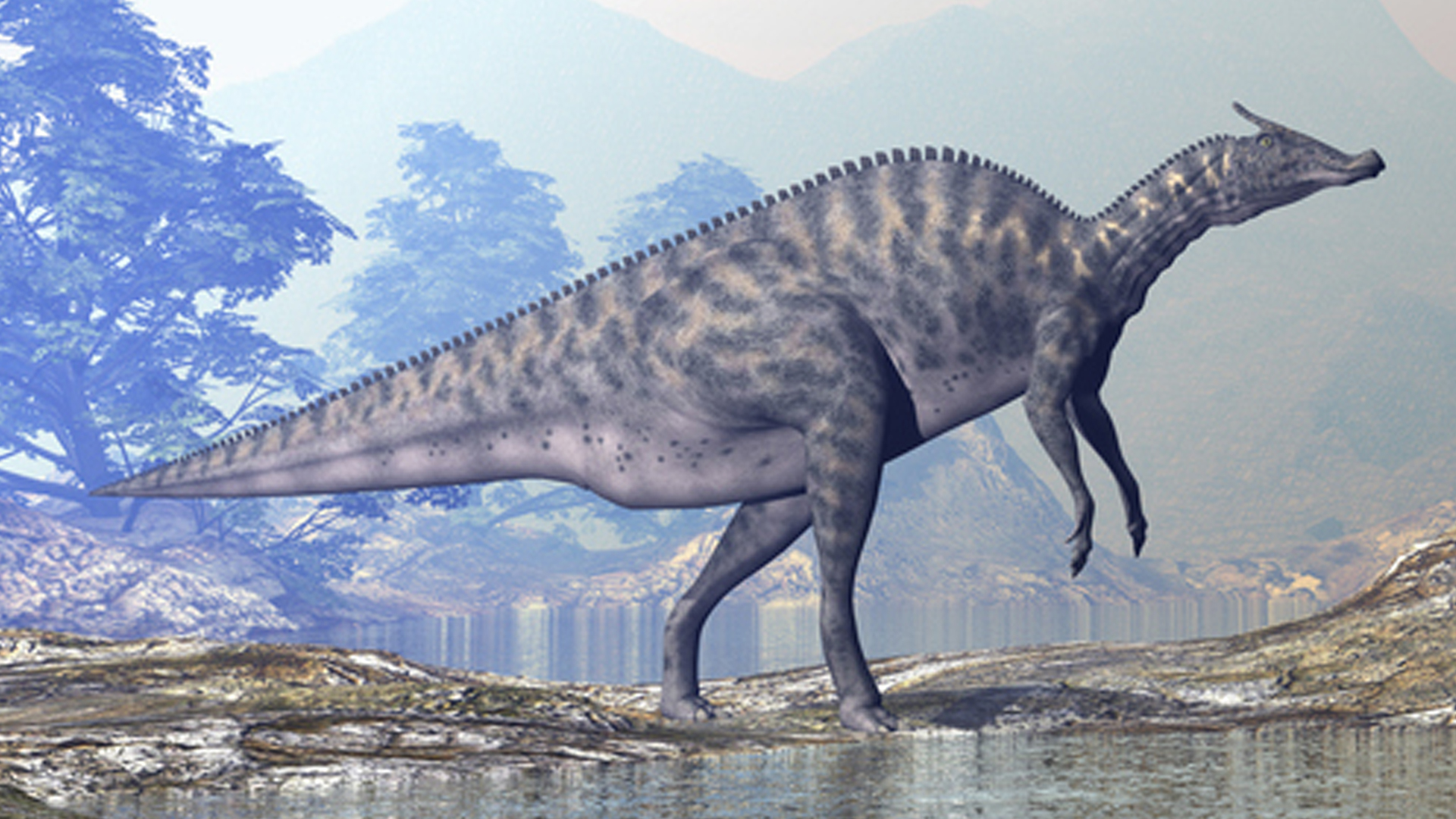 Urme ale unor mari dinozauri hadrosaurid descoperite în deșertul Gobi